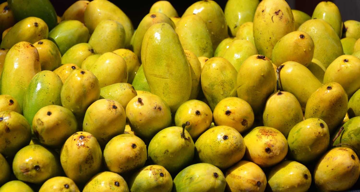 Nepal defy banning import of Indian mangoes