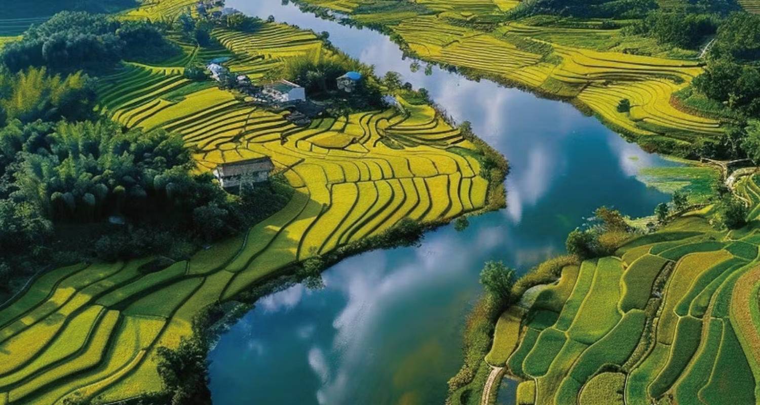 Rice feeds billions but its climate toll is surging
